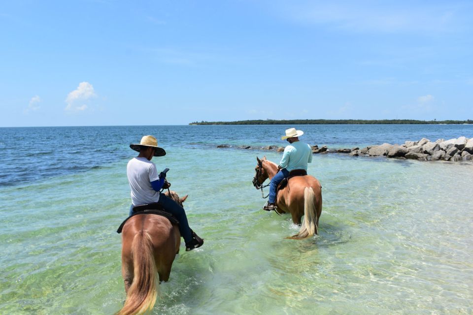 Miami: Beach Horse Ride & Nature Trail - What to Expect: A Balance of Nature and Beaches