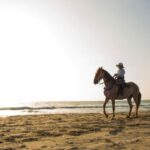 Miami: Beach Horse Ride & Nature Trail - The Horses & Safety: Gentle Companions for All