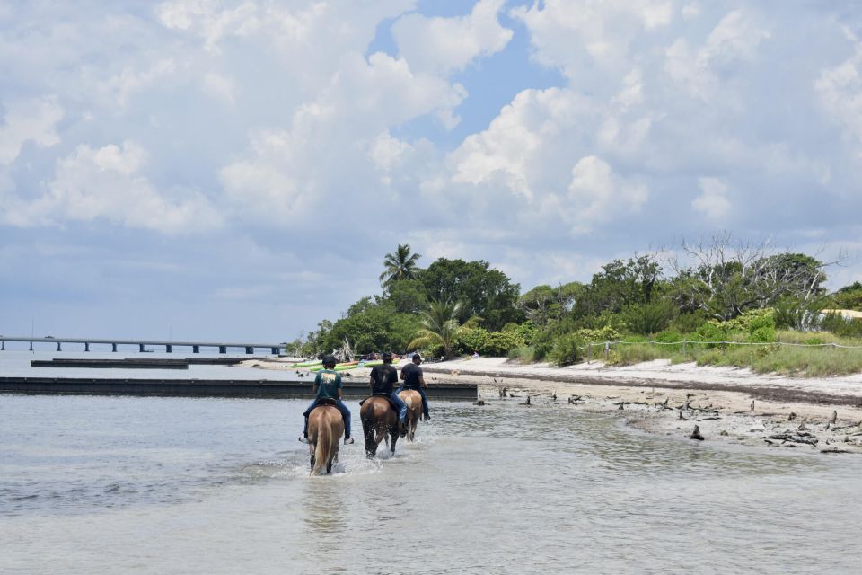 Miami: Beach Horse Ride & Nature Trail - The Scenic Journey: Trails, Wildlife, and the Beach