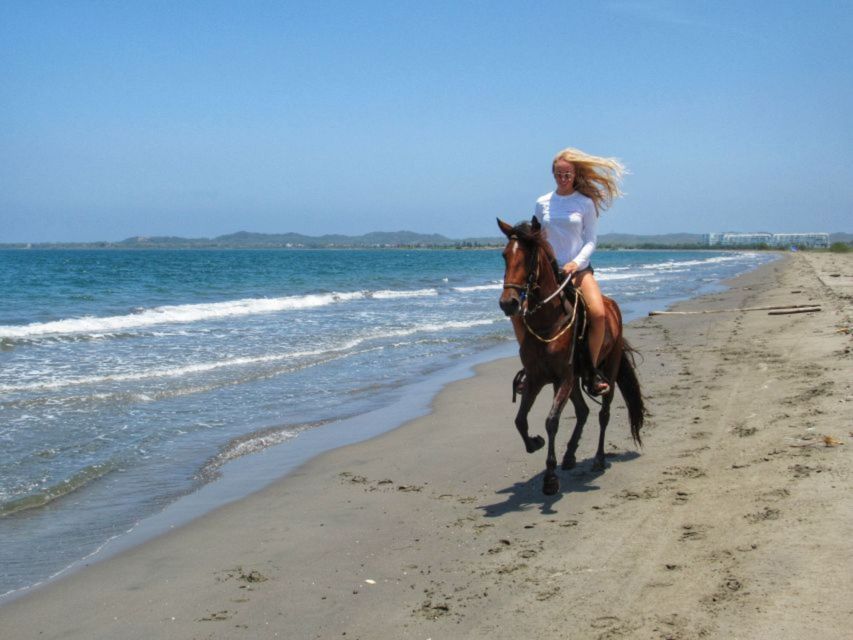 Miami: Beach Horse Ride & Nature Trail - Who Should Book This Tour?