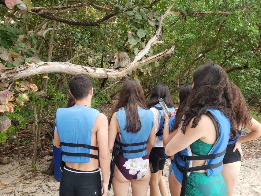 Miami: Beginner-Friendly Island Snorkeling by SUP or Kayak - Key Points
