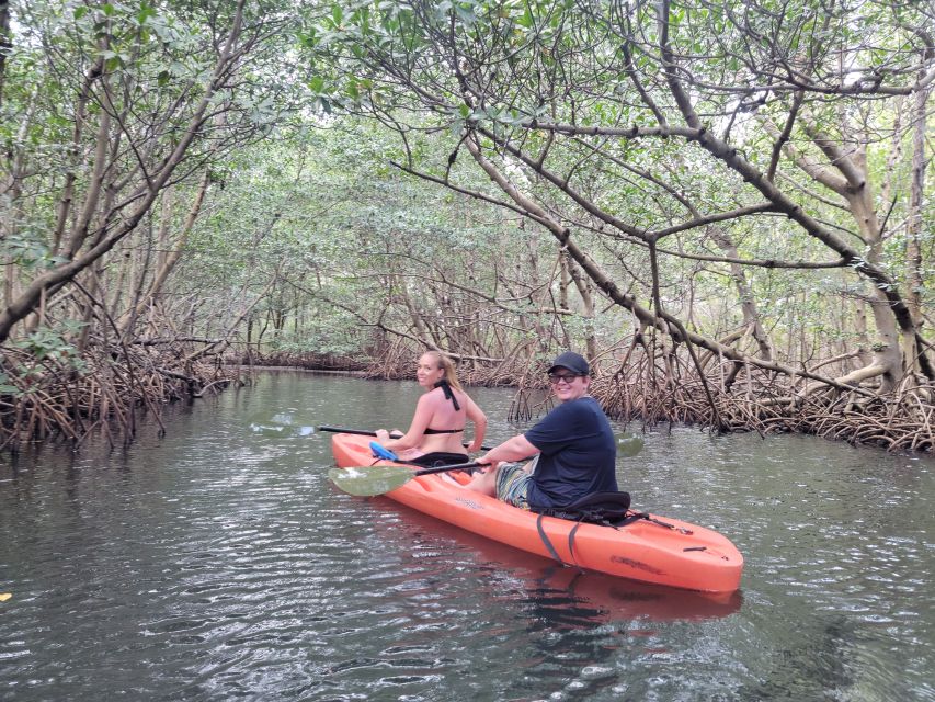 Miami: Beginner-Friendly Island Snorkeling by SUP or Kayak - Overview of the Tour Experience