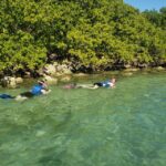 Miami: Beginner-Friendly Island Snorkeling by SUP or Kayak - Detailed Breakdown of the Itinerary