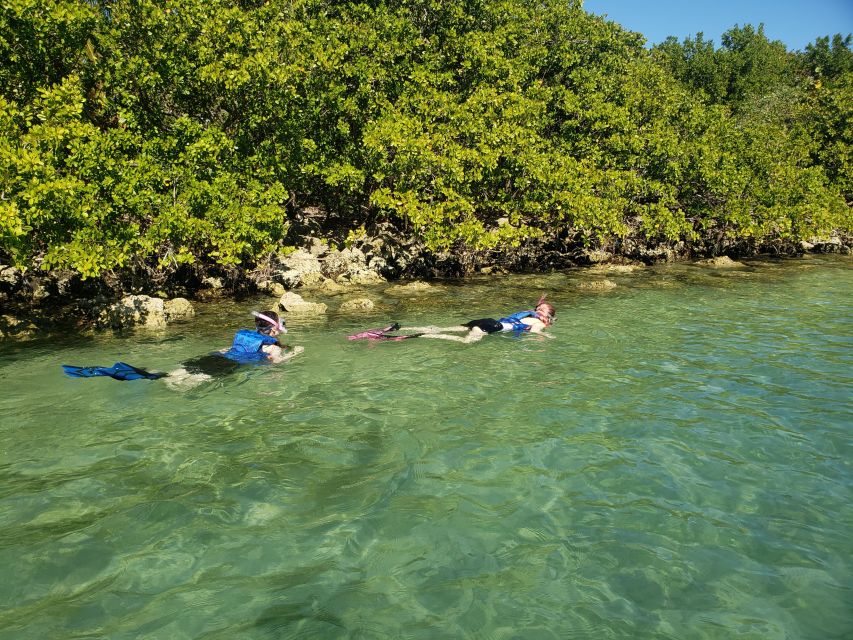 Miami: Beginner-Friendly Island Snorkeling by SUP or Kayak - Detailed Breakdown of the Itinerary