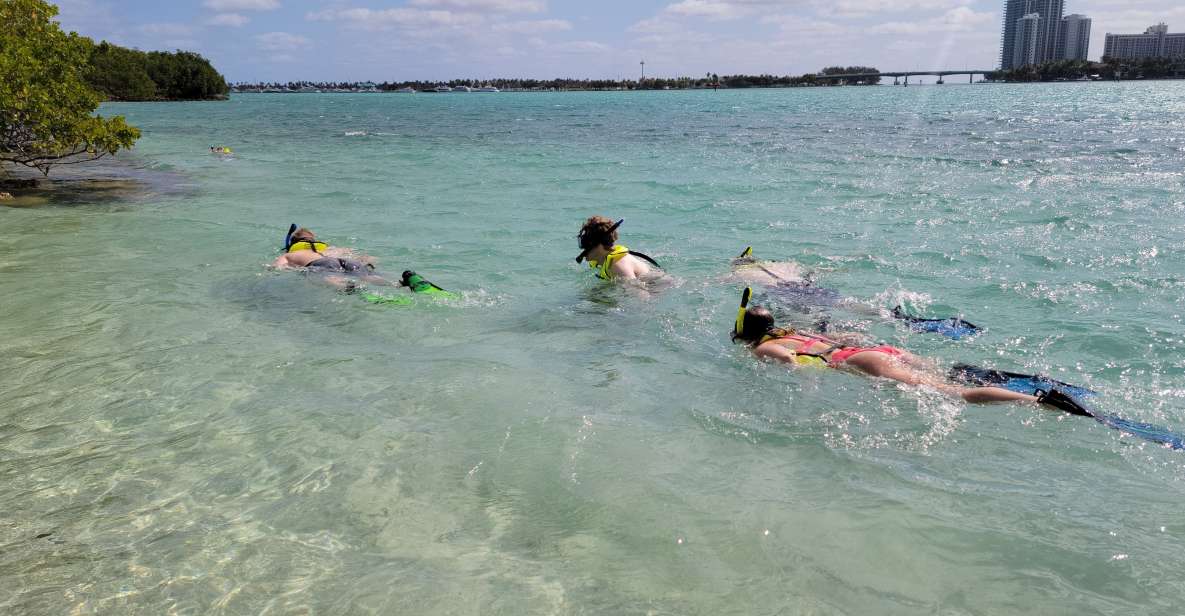 Miami: Beginner-Friendly Island Snorkeling by SUP or Kayak - Practical Details and Value