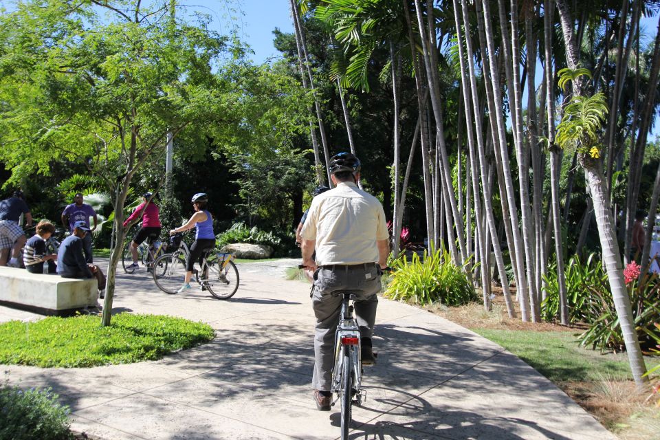 Miami: Bike Rental - Who Will Love This Experience?