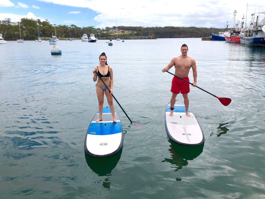 Miami: Biscayne Bay Kayak or Paddleboard Rental - Exploring Biscayne Bay in Miami: Kayak or Paddleboard Rental Review