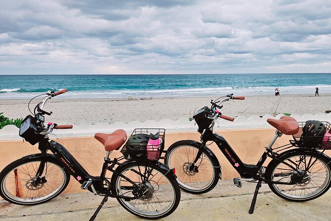 Miami Brightline Train to Palm Beach & 3 hour Ebike Rental - The Sum Up