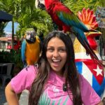 Miami Bus Tour - Flamingo Bus Miami Tours Open-Air Trolley - Final Thoughts: Who Is This Tour Best For?
