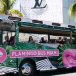 Miami Bus Tour Flamingo Open Air Trolley Bus Tours City Tour - Why This Tour Offers Great Value