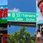 Miami: City Tour and Thriller Speedboat Adventure - The Thrilling Speedboat Ride