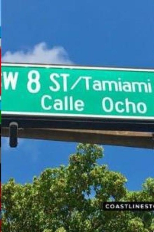 Miami: City Tour and Thriller Speedboat Adventure - Whats Included and Whats Not