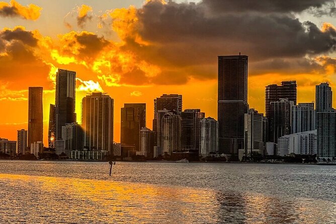 Miami Cruise of Celebrity Homes and Biscayne Bay - An In-Depth Look at the Cruise Experience