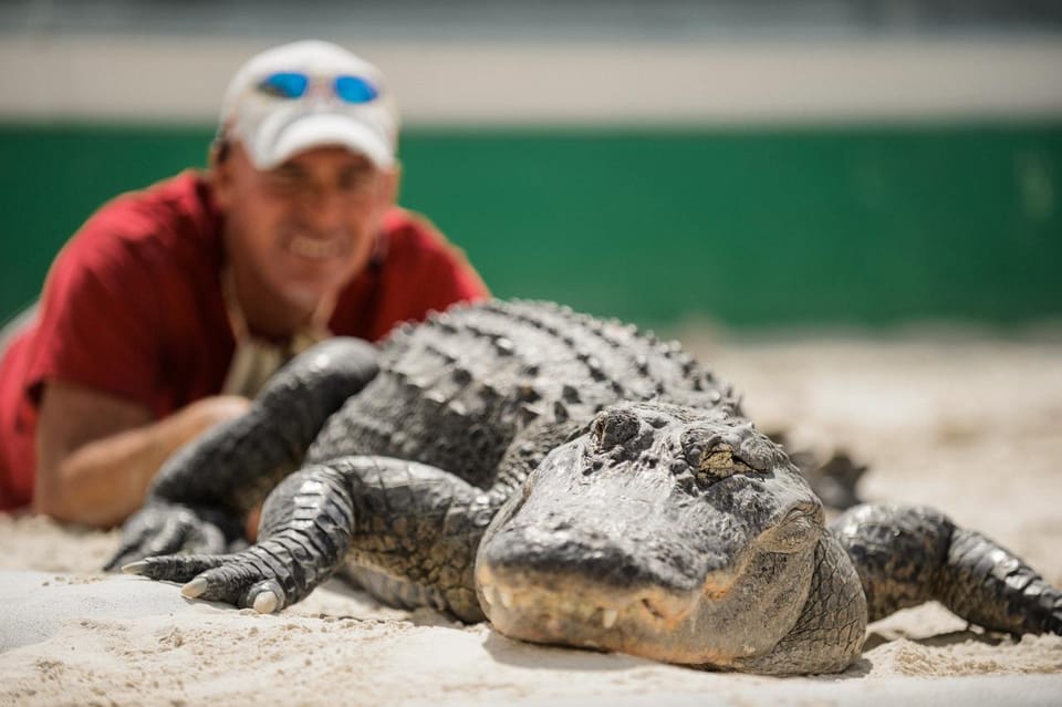 Miami: Everglades Adventure & Big Bus Hop-on Hop-off Tour - Practical Tips for Making the Most of the Tour