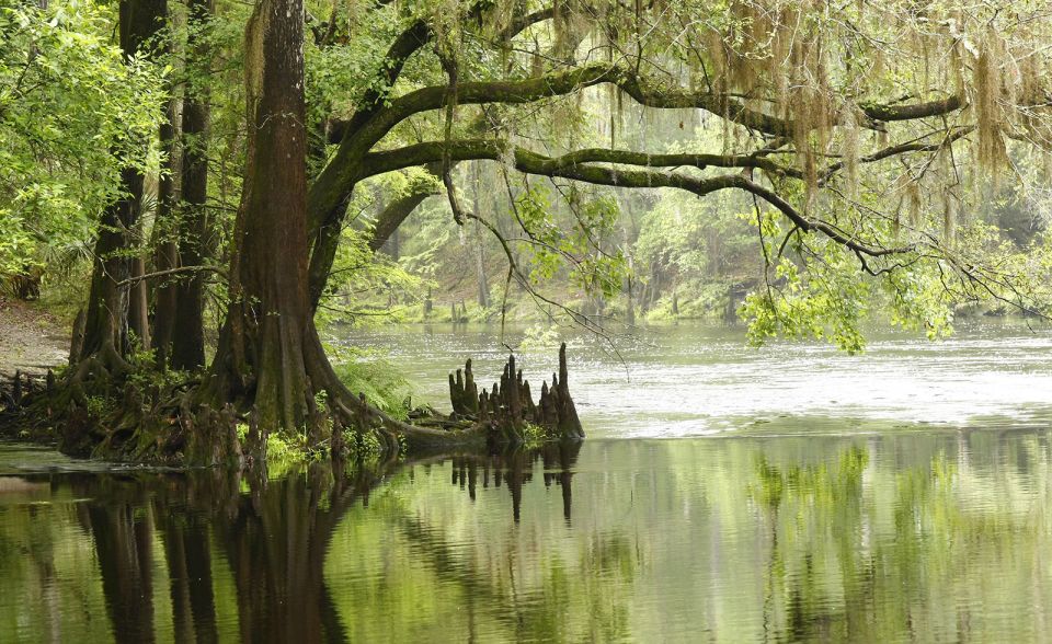 Miami: Everglades Airboat & Animal Sanctuary Tour with Photo - Final Thoughts: Is It Worth It?