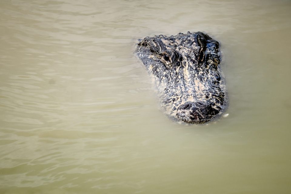Miami: Everglades Airboat & Animal Sanctuary Tour with Photo - FAQs