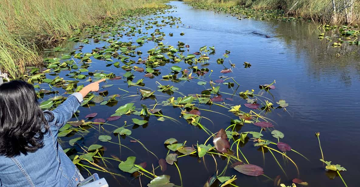 Miami: Everglades Airboat, Photo & Gator Experience - An In-Depth Look at the Tour Experience