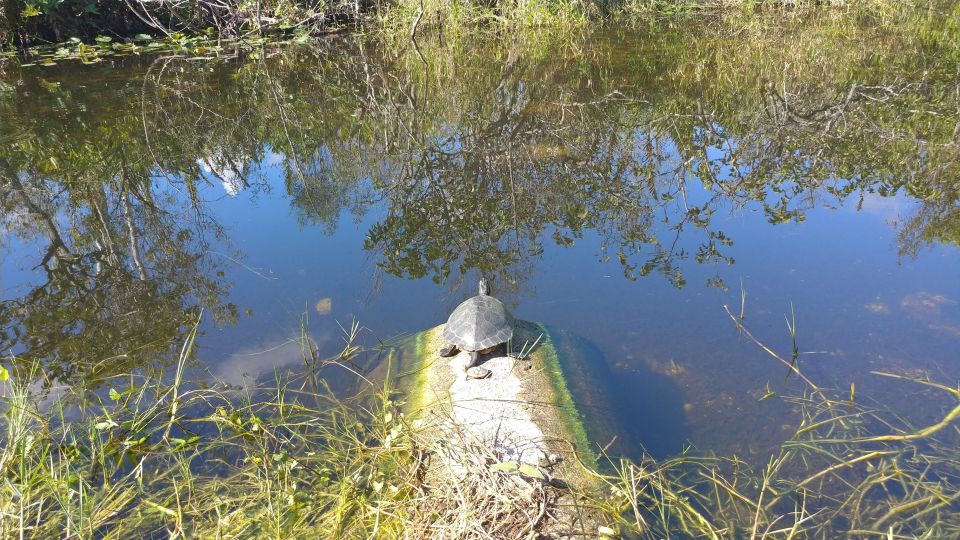 Miami: Everglades Airboat Ride and Tram Tour - Final Thoughts