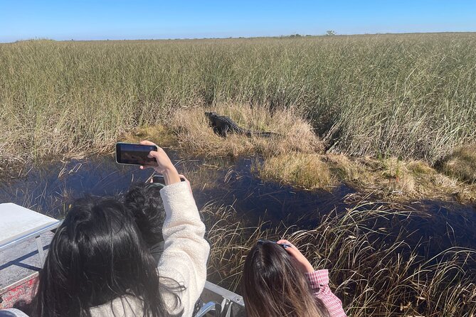 MIAMI: Everglades Airboat, Wildlife Gator Show and Photo - Who Will Love This Tour?