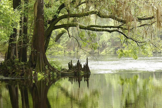 MIAMI: Everglades Airboat, Wildlife Gator Show and Photo - Final Thoughts