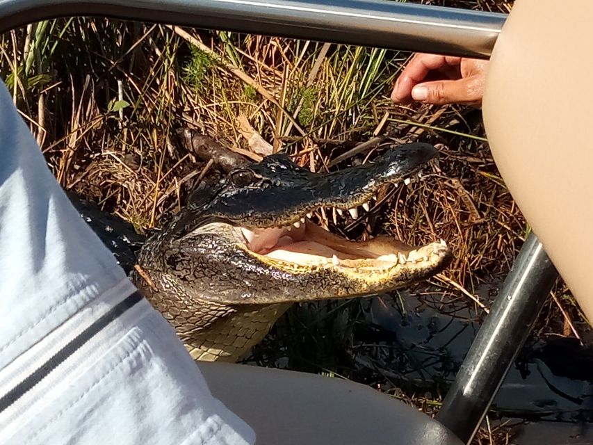 Miami: Everglades Full-Day Tour with 2 Boat Trips and Lunch - Key Points