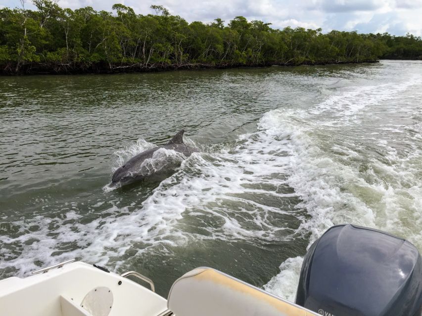 Miami: Everglades Full-Day Tour with 2 Boat Trips and Lunch - Who Will Love This Experience?