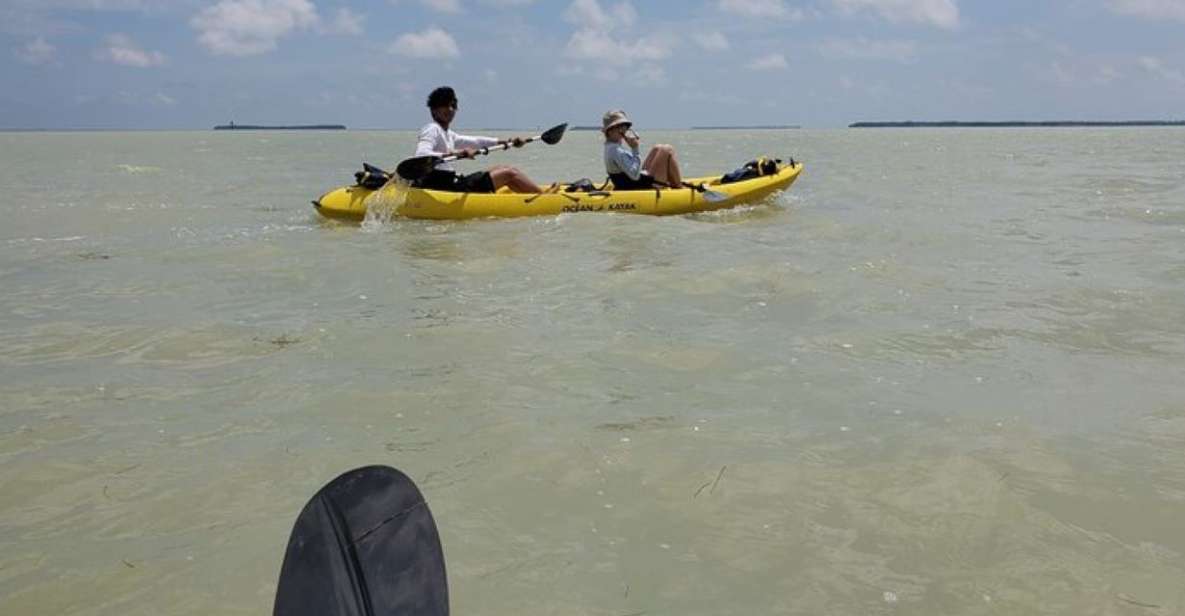 Miami: Everglades National Park Hiking and Kayaking Day Trip - Key Points