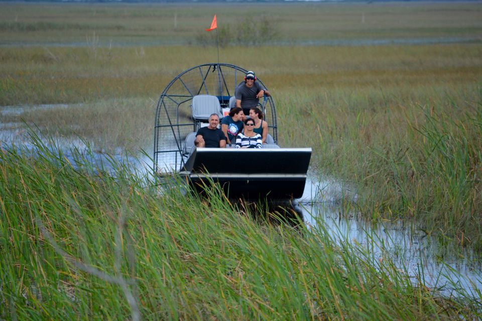 Miami: Everglades River of Grass Small Airboat Wildlife Tour - The Experience: What You Can Expect