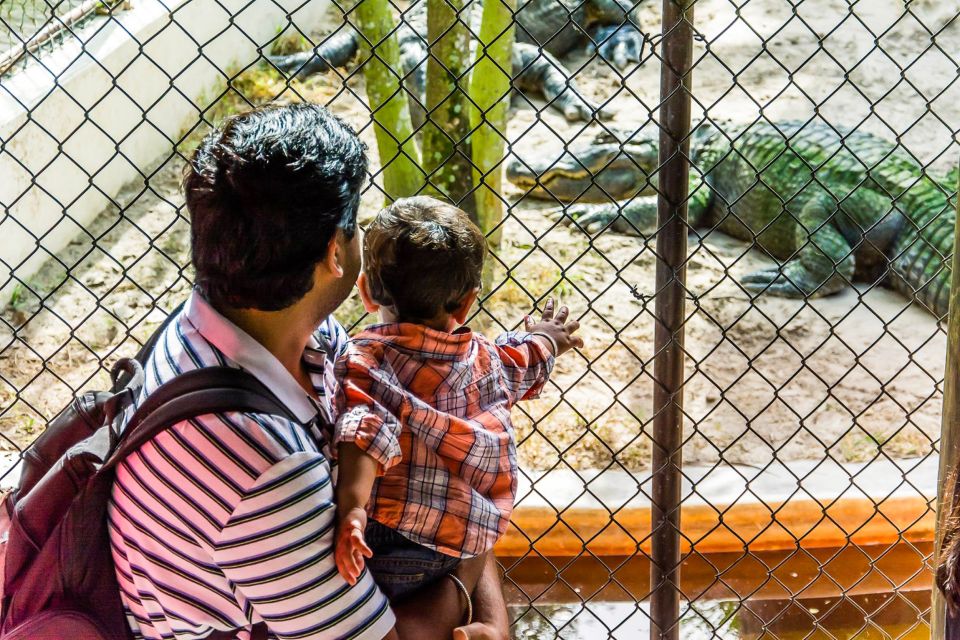 Miami: Everglades Safari Park Airboat Tour - The Price and Overall Value