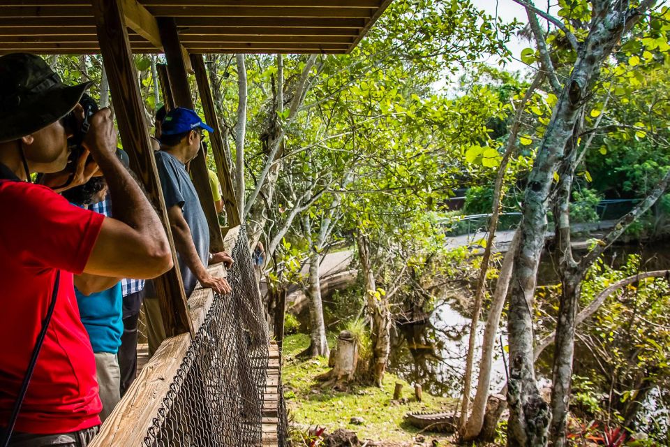 Miami: Everglades Safari Park Airboat Tour - Practical Tips for Visitors
