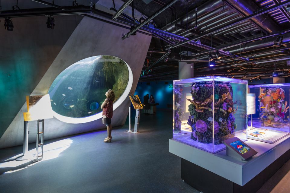 Miami: Frost Museum of Science and Planetarium Entry Ticket - Miami: Frost Museum of Science and Planetarium Entry Ticket – An In-Depth Review  