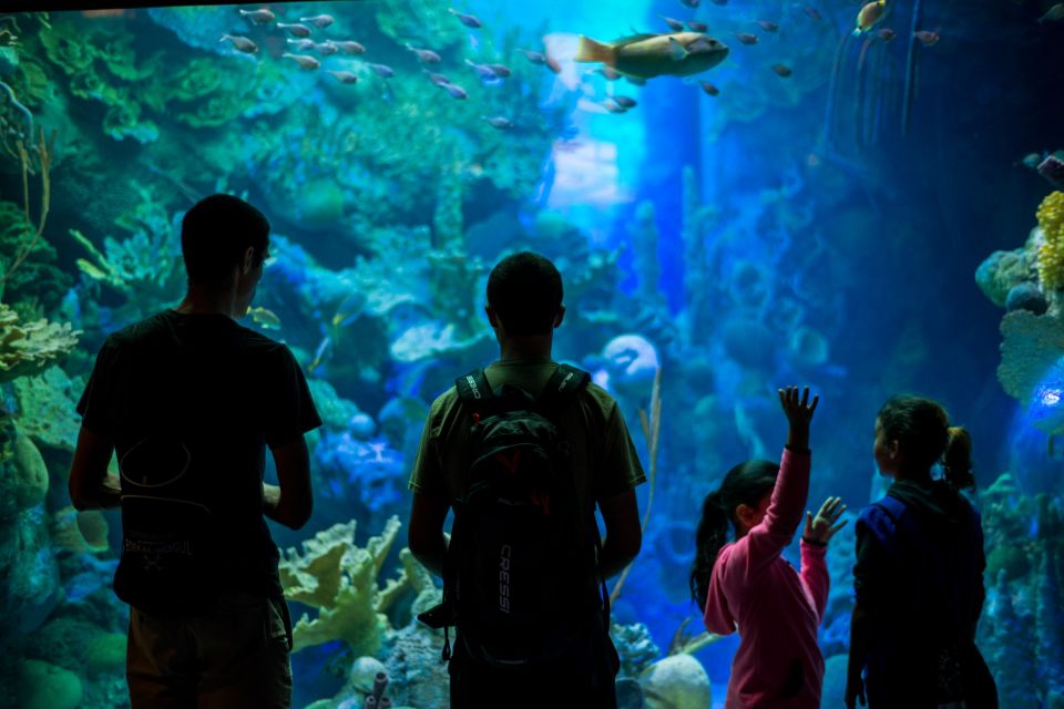 Miami: Frost Museum of Science and Planetarium Entry Ticket - Key Points  