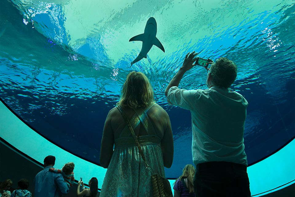 Miami: Frost Museum of Science and Planetarium Entry Ticket - What to Expect at Each Part of the Museum  