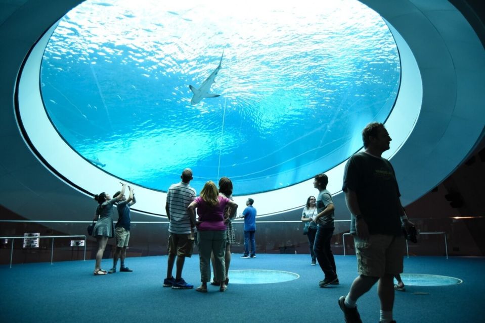 Miami: Frost Museum of Science and Planetarium Entry Ticket - Practical Tips for Visiting  