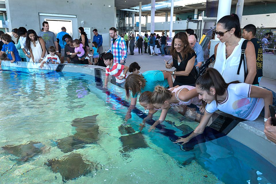 Miami: Frost Museum of Science and Planetarium Entry Ticket - Authentic Experiences & Feedback from Visitors  