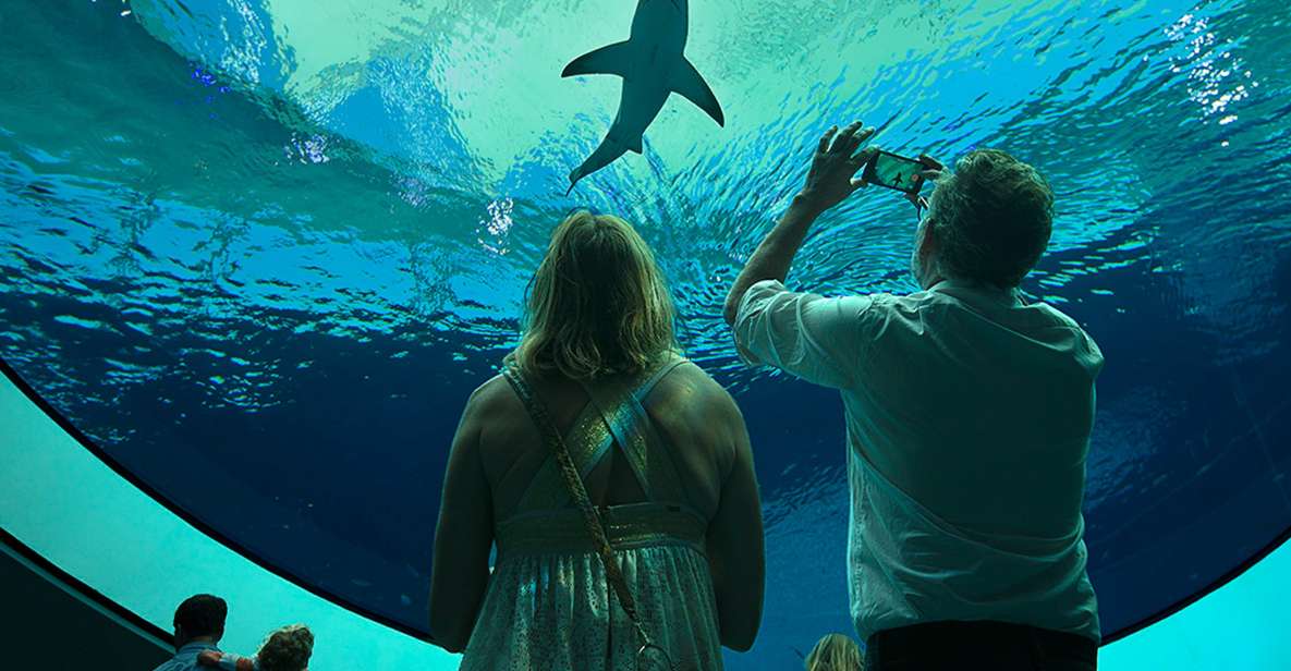Miami: Frost Museum of Science and Planetarium Entry Ticket - FAQ  