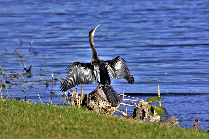 Miami Full Day Self-Guided Sightseeing Tour w/ Cruise and Everglades Airboat - FAQ