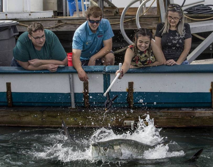 Miami: Giant Fish Feeding Experience - Guided vs. Self-Guided Options