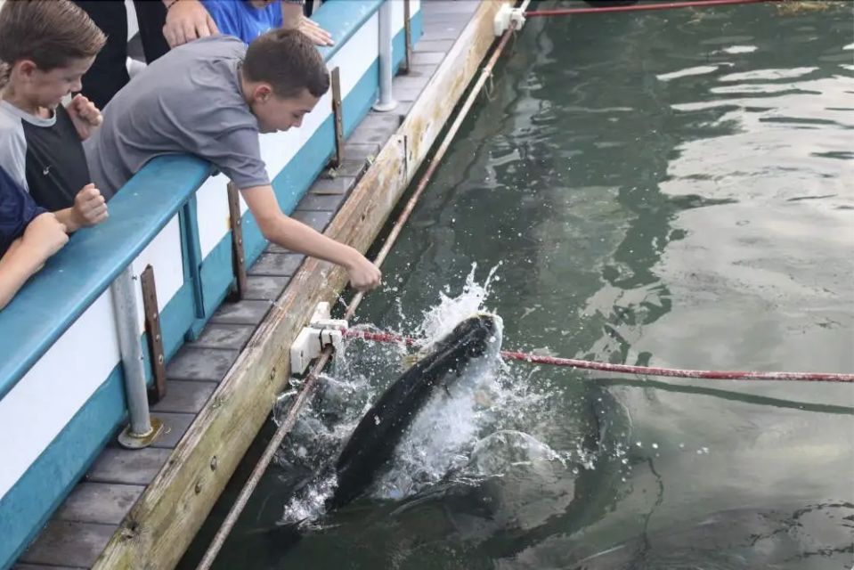 Miami: Giant Fish Feeding Experience - Final Thoughts