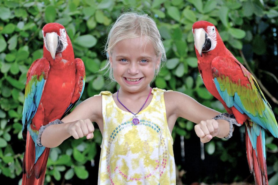 Miami: Go City All-Inclusive Pass with 30+ Attractions - Final Thoughts