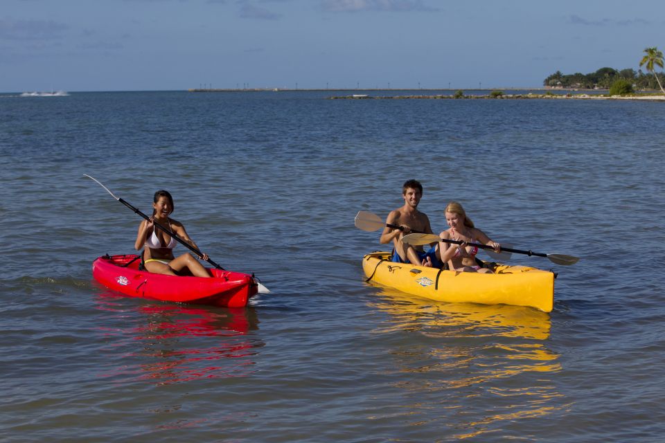 Miami: Go City Explorer Pass - Choose 2 to 5 Attractions - The Experience: What You Can Expect
