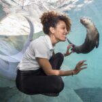 Miami: Go City Explorer Pass - Choose 2 to 5 Attractions - Who Will Love This Pass?