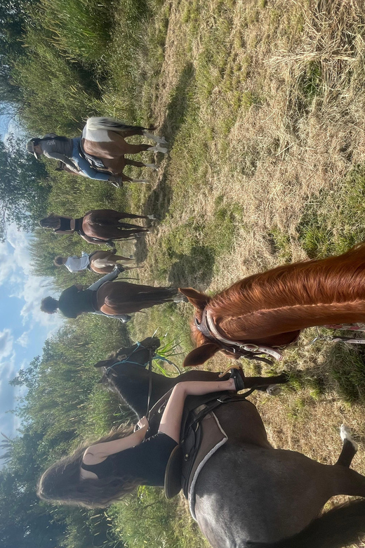 Miami: Guided Horseback Riding Tour - An In-Depth Look at the Miami Horseback Riding Tour