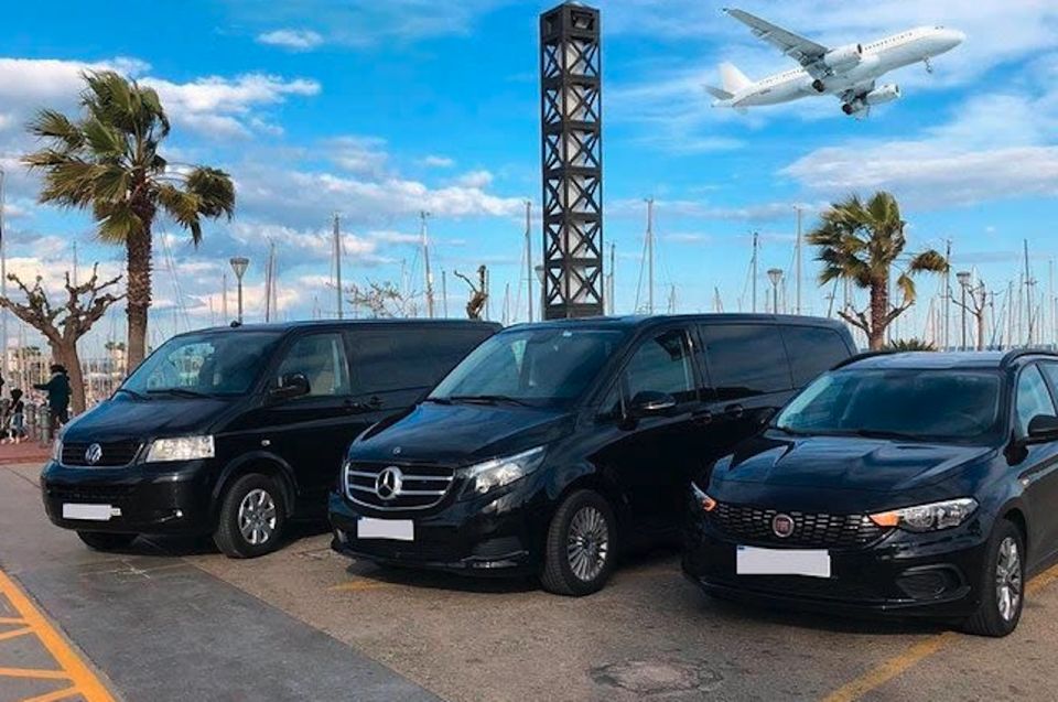 Miami: Guided Tour with Transfer from Cruise Port to Airport - Why You’ll Love This Miami Tour