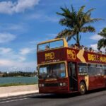 Miami Highlight: Millionaire's Row Bay Cruise & Open-top Bus Tour - Final Thoughts