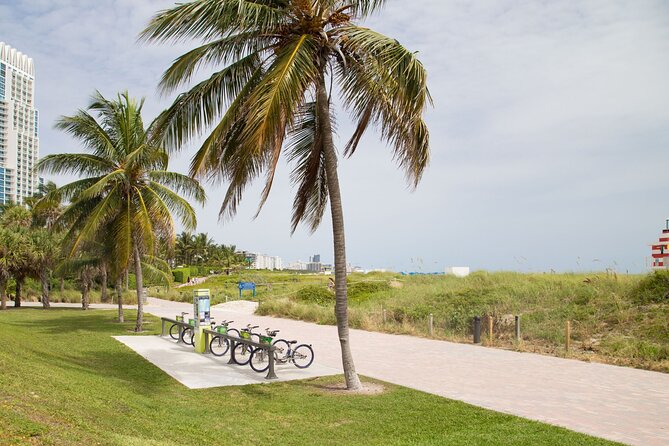 Miami : Highlights Private Bike Tour With A Guide (Private Tour) - Miami: Highlights Private Bike Tour With A Guide (Private Tour) — A Detailed Review