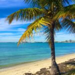 Miami: Hobie Cat Sailing - What You Can Expect During the Tour
