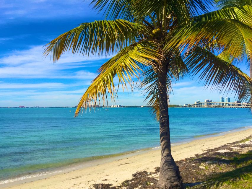 Miami: Hobie Cat Sailing - What You Can Expect During the Tour