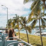 Miami: Hop-on Hop-off Sightseeing Tour with Optional Cruise - The Practicalities and Value
