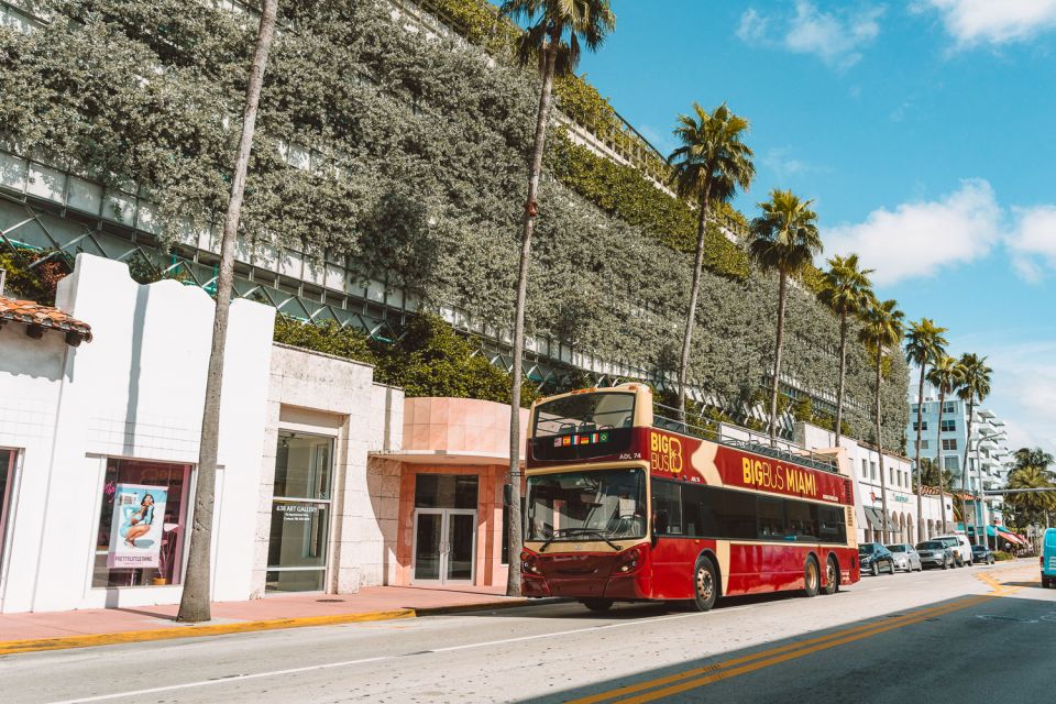 Miami: Hop-on Hop-off Sightseeing Tour with Optional Cruise - Who Will Love This Tour?